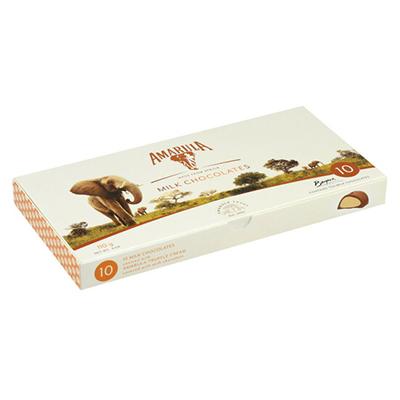 Beyers Amarula Milk Chocolate 10 pieces – Springbok Foods